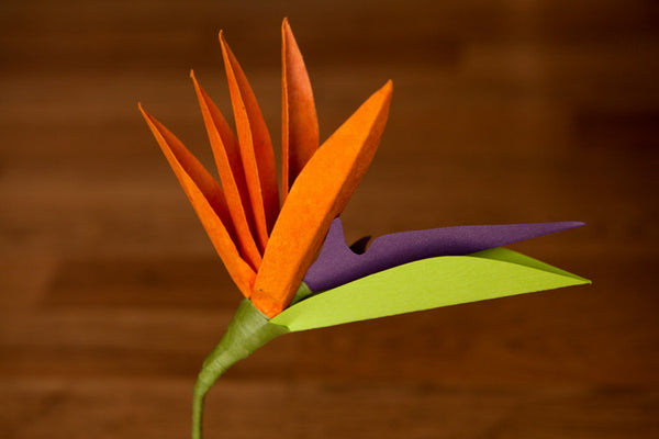 Bird of Paradise – Paper Flowers